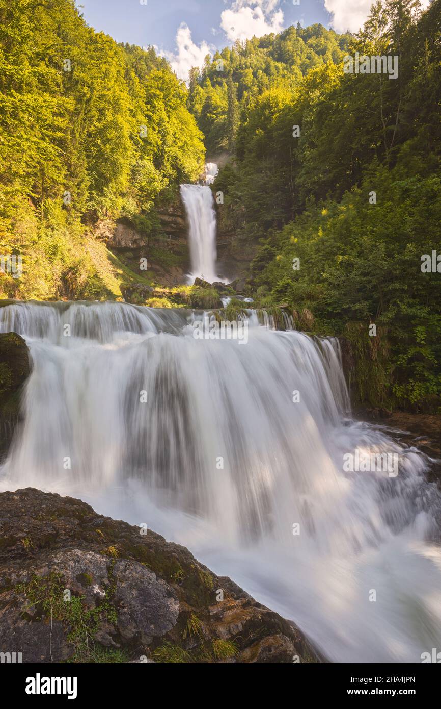 extreme waterfall across the forest Stock Photo - Alamy
