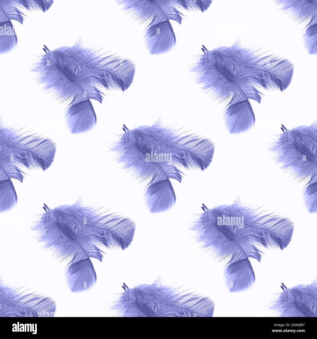Blue Very Peri color bird feather repeat seamless pattern on light ...