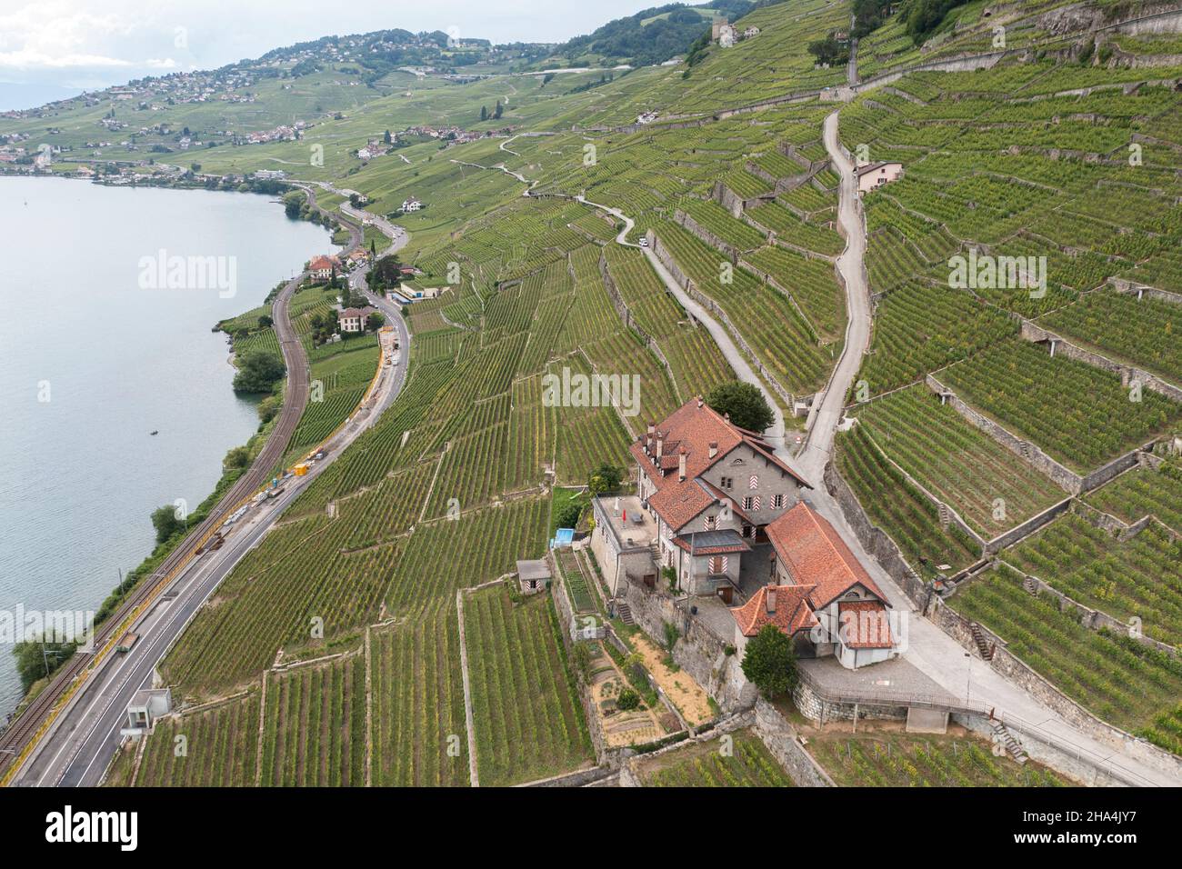 Vineyard terraces hi-res stock photography and images - Alamy