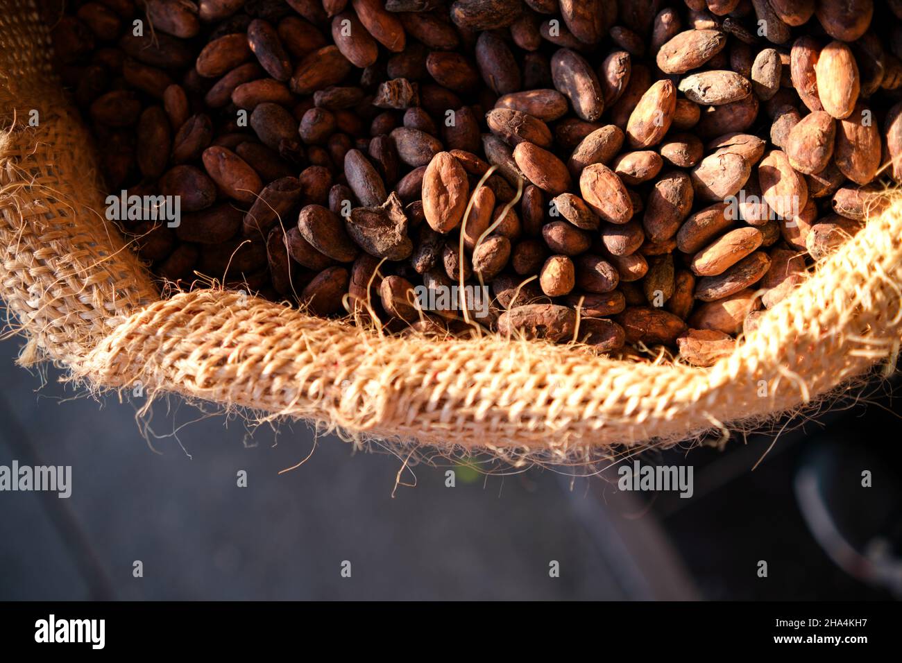 overhead view of cocoa nibs in sack Stock Photo - Alamy