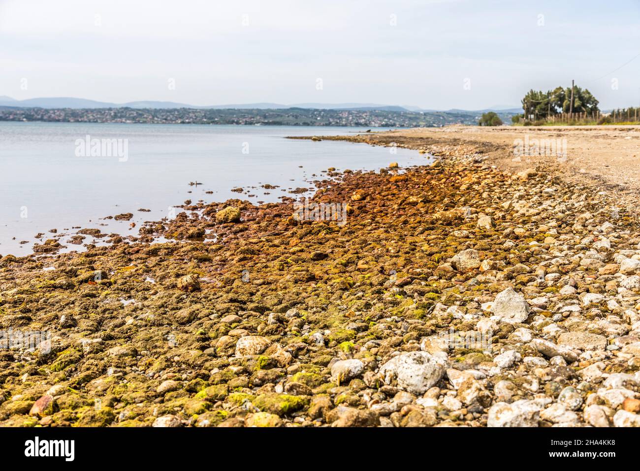 strange colored stones at the beach Stock Photo - Alamy
