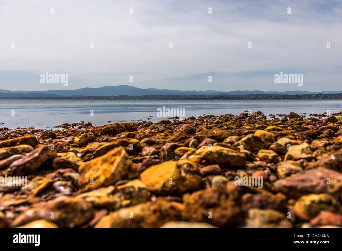 strange colored stones at the beach Stock Photo - Alamy