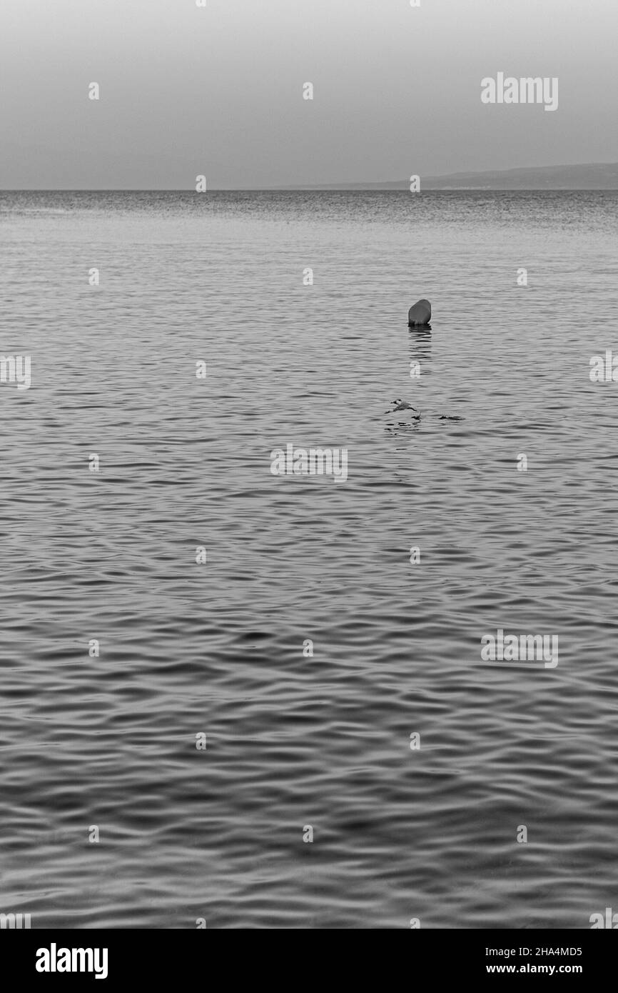 Sound island Black and White Stock Photos & Images - Alamy