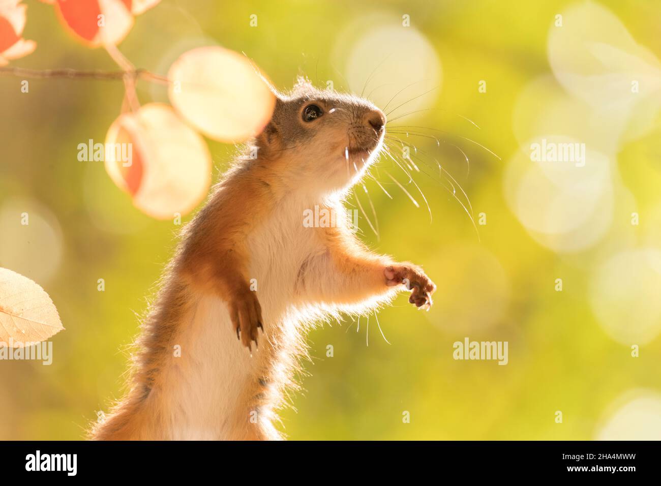Reaching for the ground hi-res stock photography and images - Alamy
