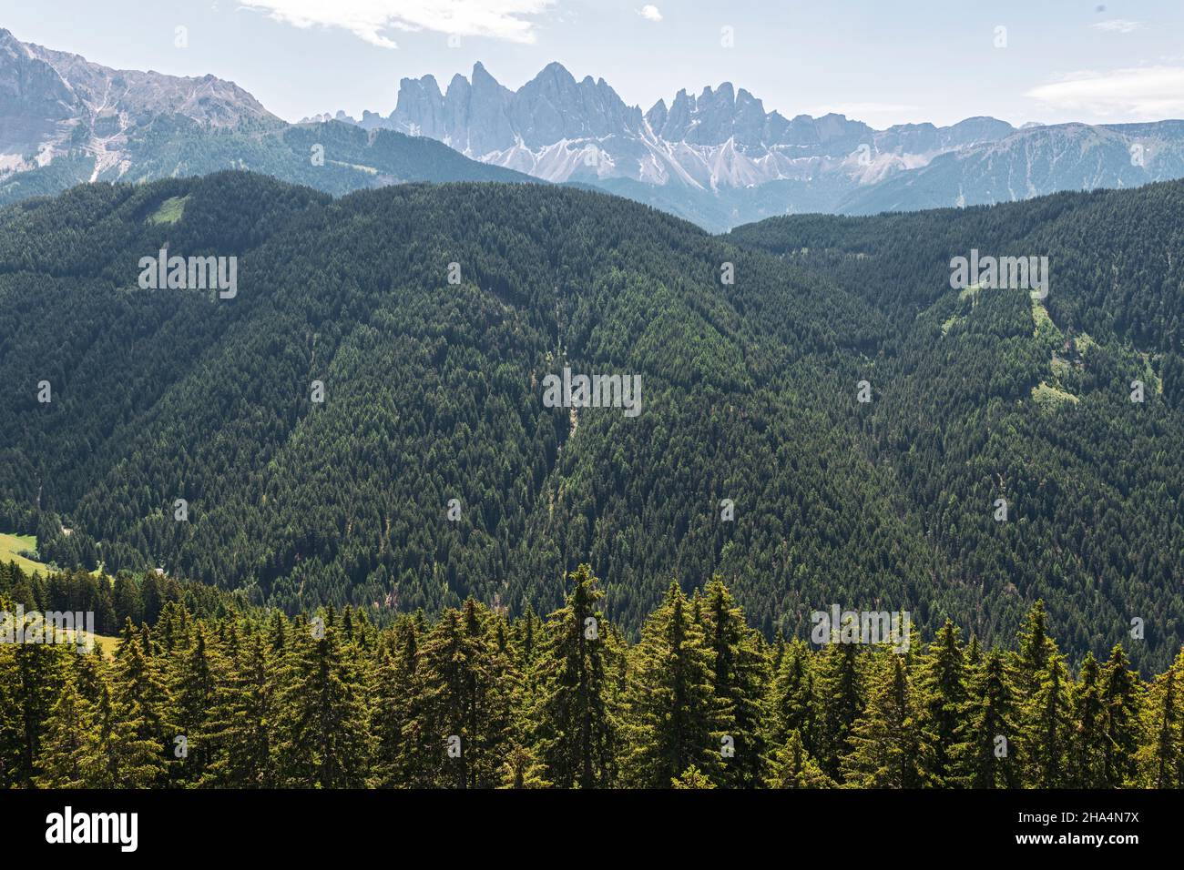 Forestis Dolomites, with amazing views of the Italian Dolomites Stock ...