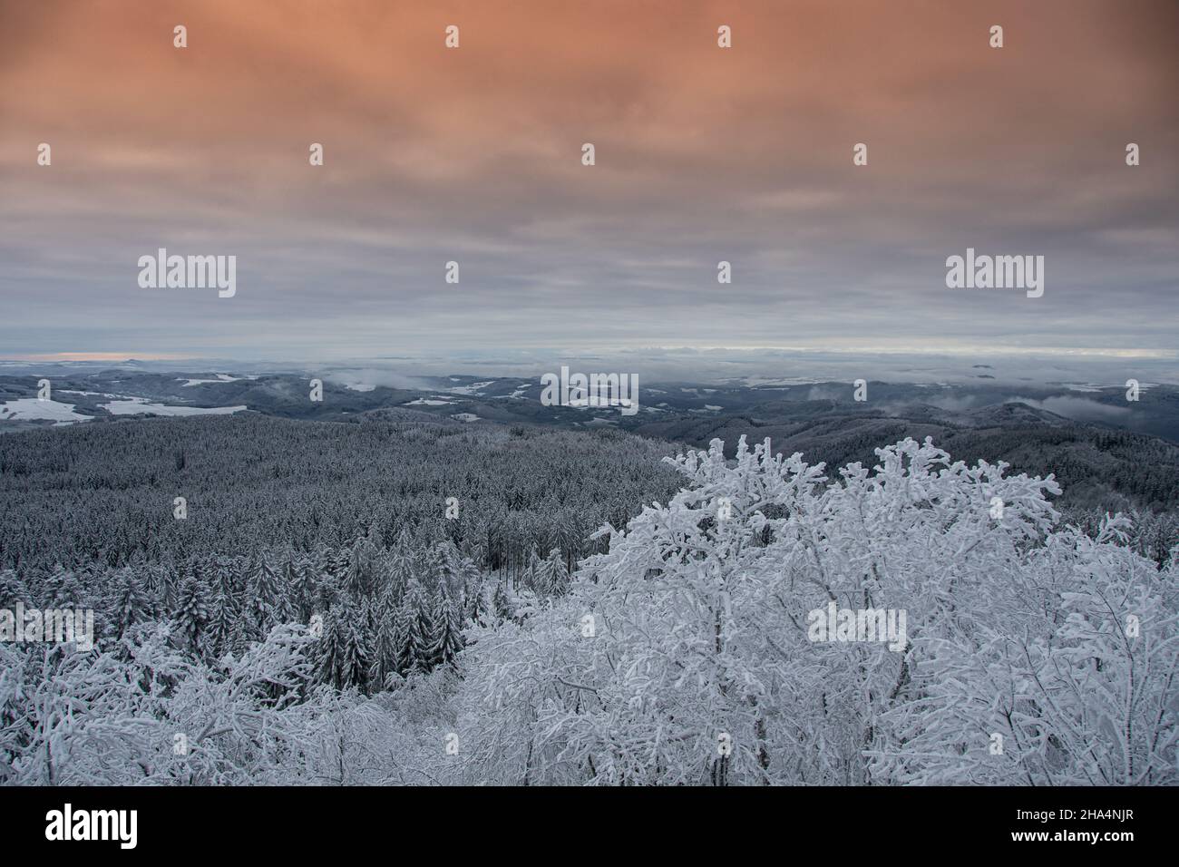 The view from the highest mountain in the Eifel on a breathtaking ...