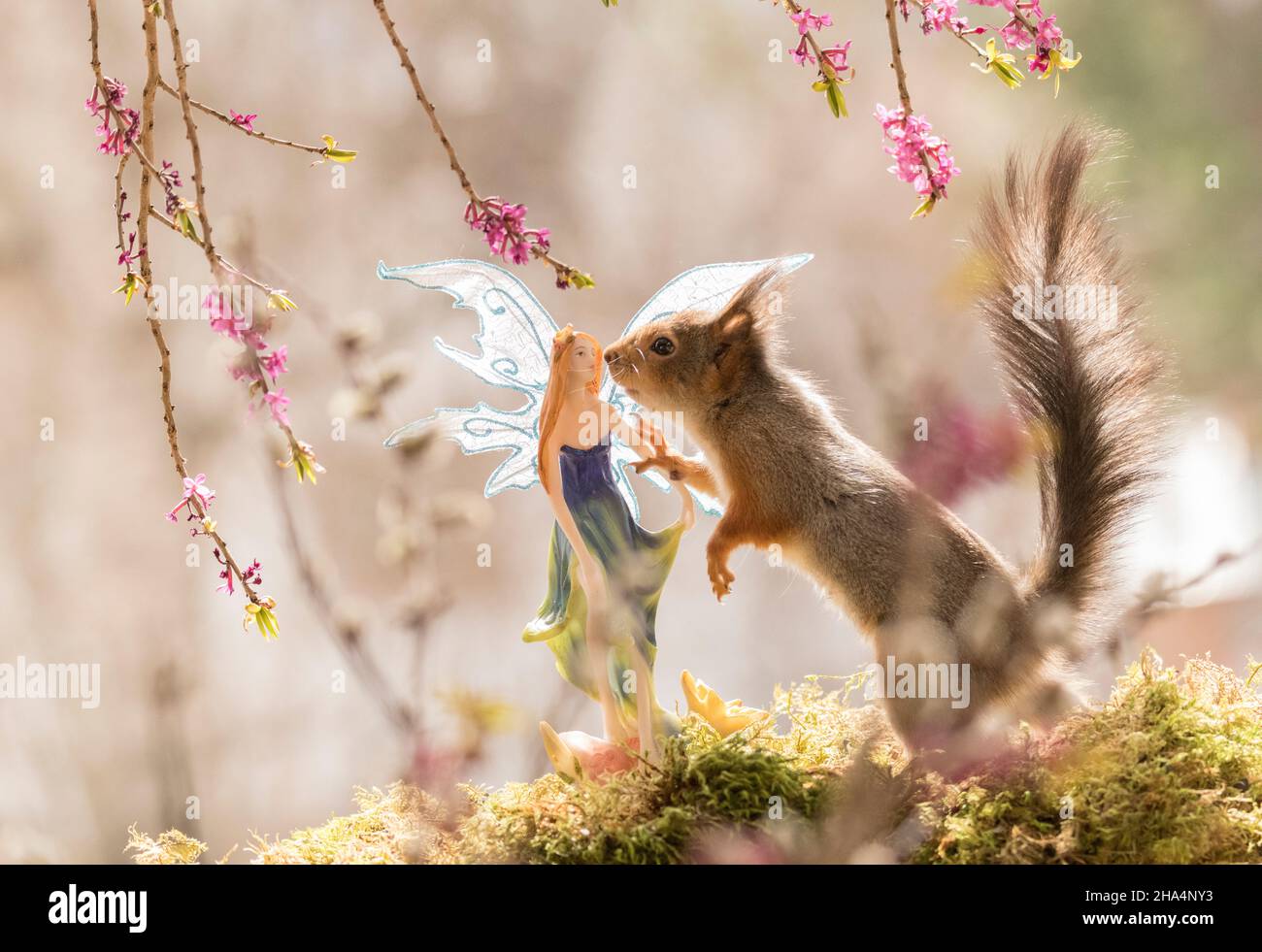 Sprite fairy hi-res stock photography and images - Alamy