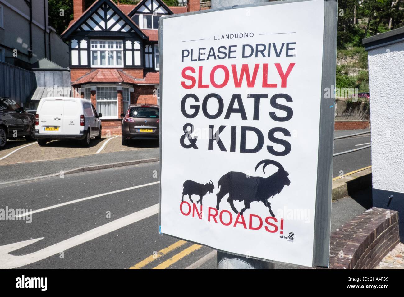 Sign,to,be,careful,aware,of,mountain,goat,goats,and,kids,on,road,famed ...
