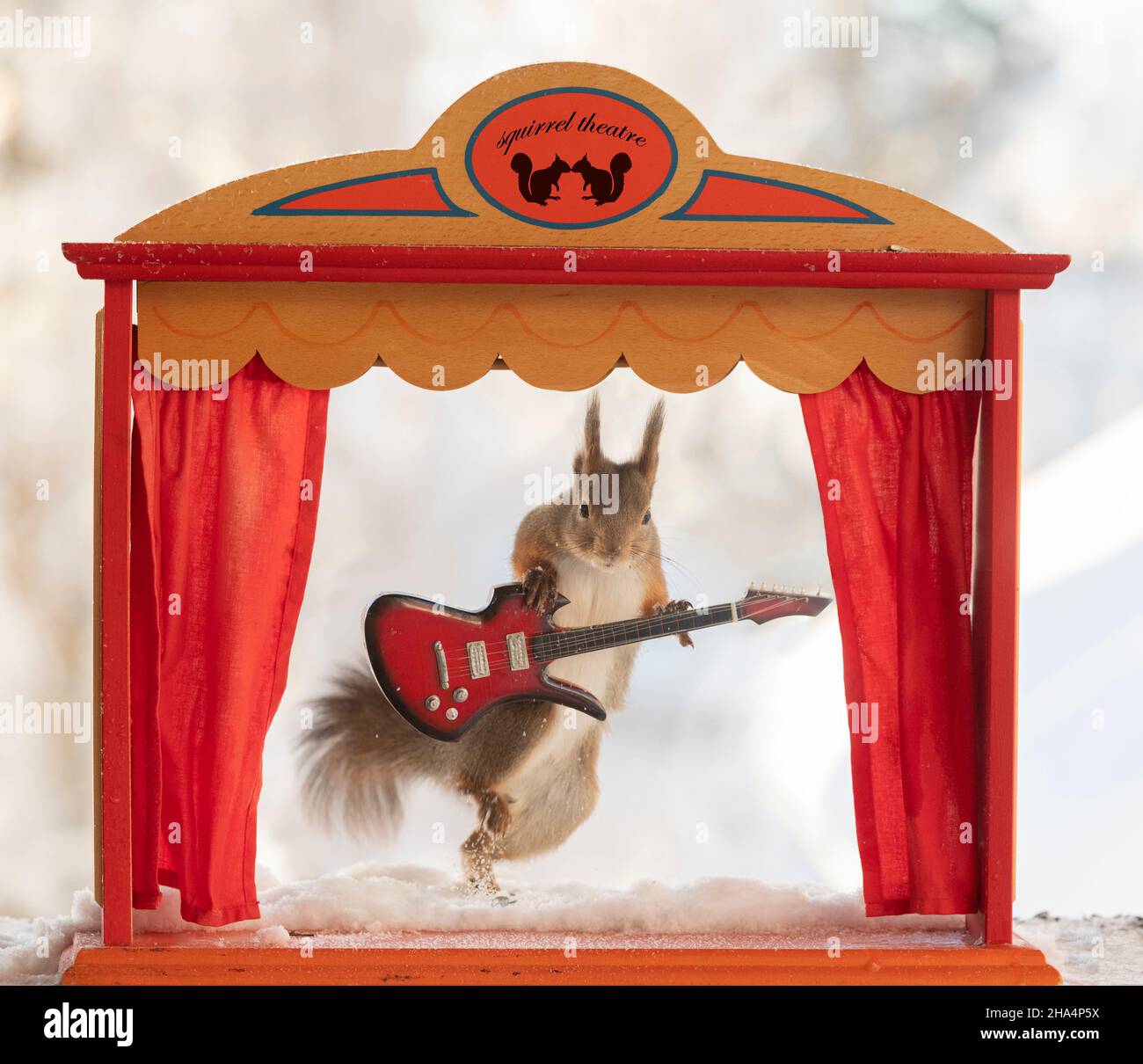 Squirrel with guitar hi-res stock photography and images - Alamy