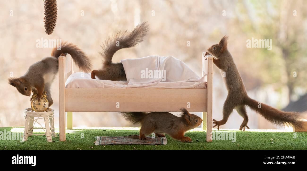 Sleep under tree hi-res stock photography and images - Alamy