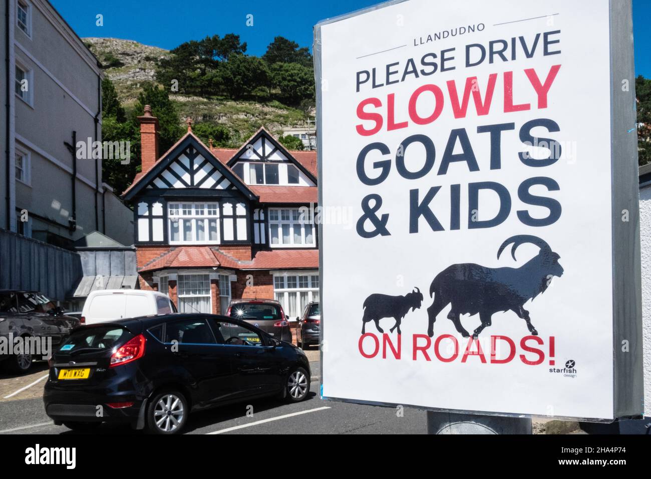 Sign,to,be,careful,aware,of,mountain,goat,goats,and,kids,on,road,famed ...