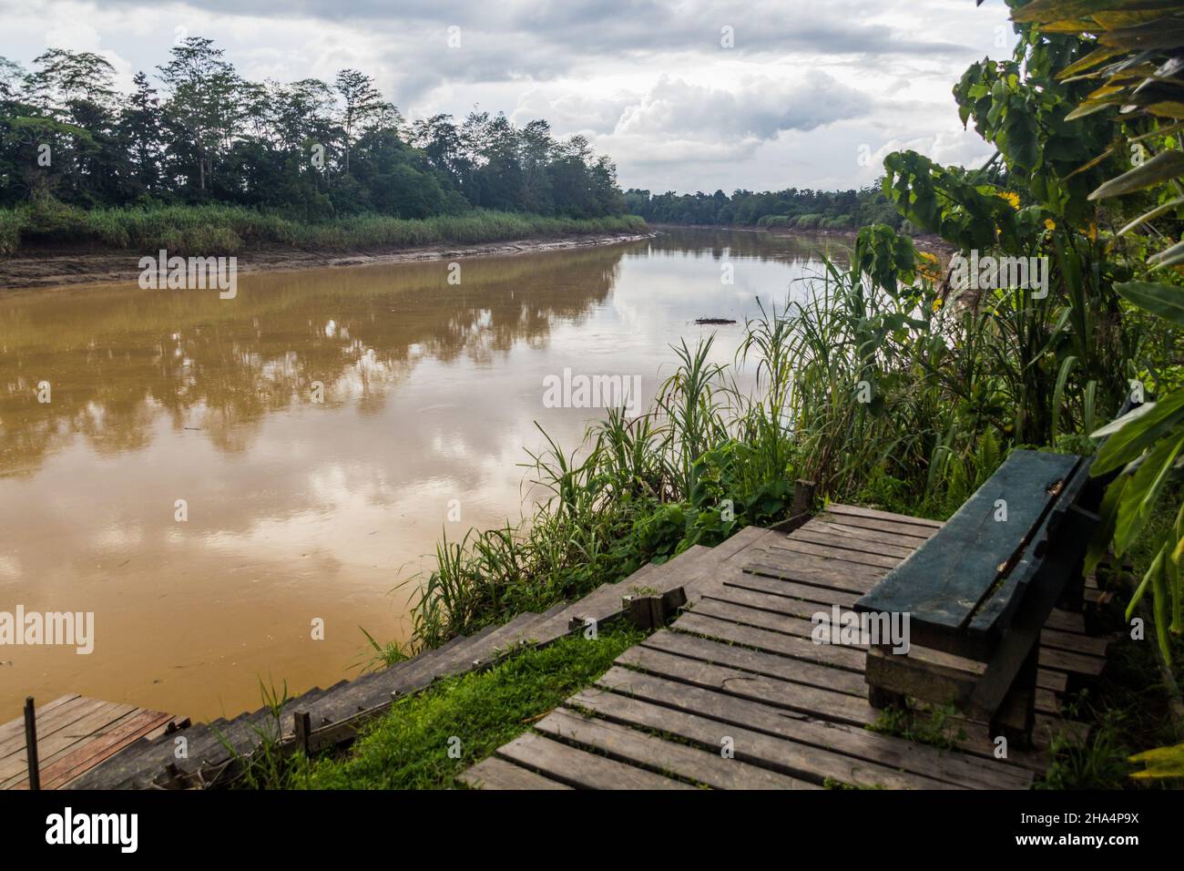 View of Kinabatangan river, Sabah Malaysia Stock Photo - Alamy