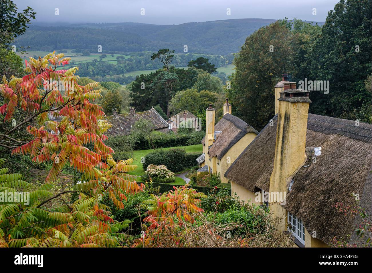 Thatched cottages in Selworthy, Exmoor National Park, Somerset Stock ...
