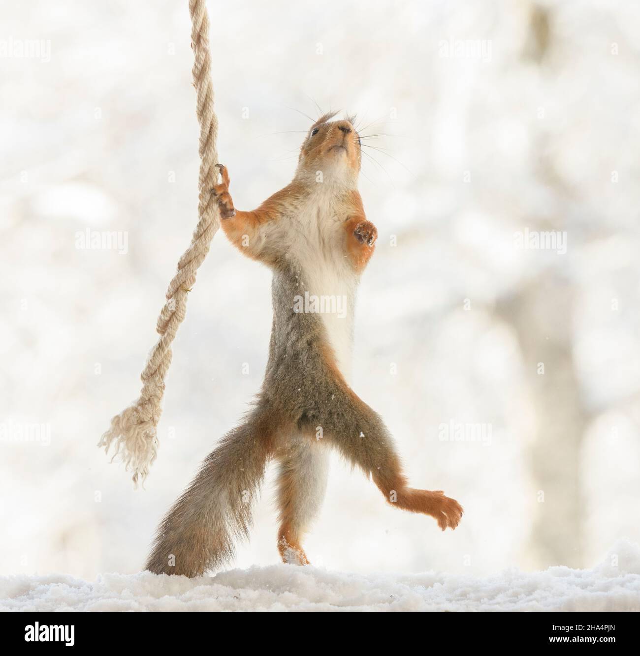 Holding a rope hi-res stock photography and images - Alamy