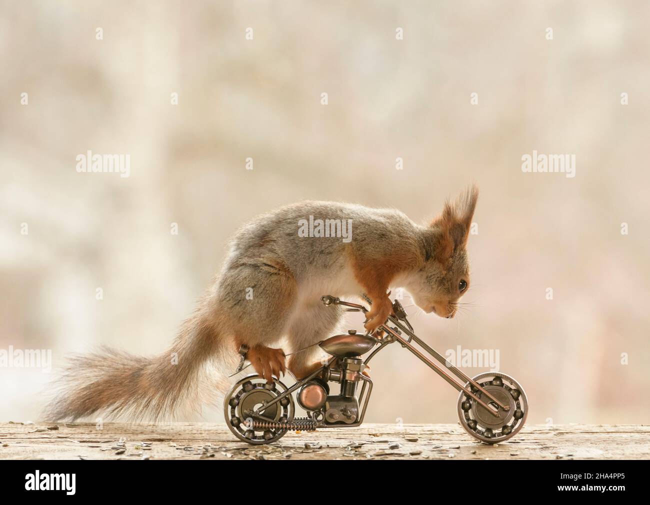 Hell cycle hi-res stock photography and images - Alamy