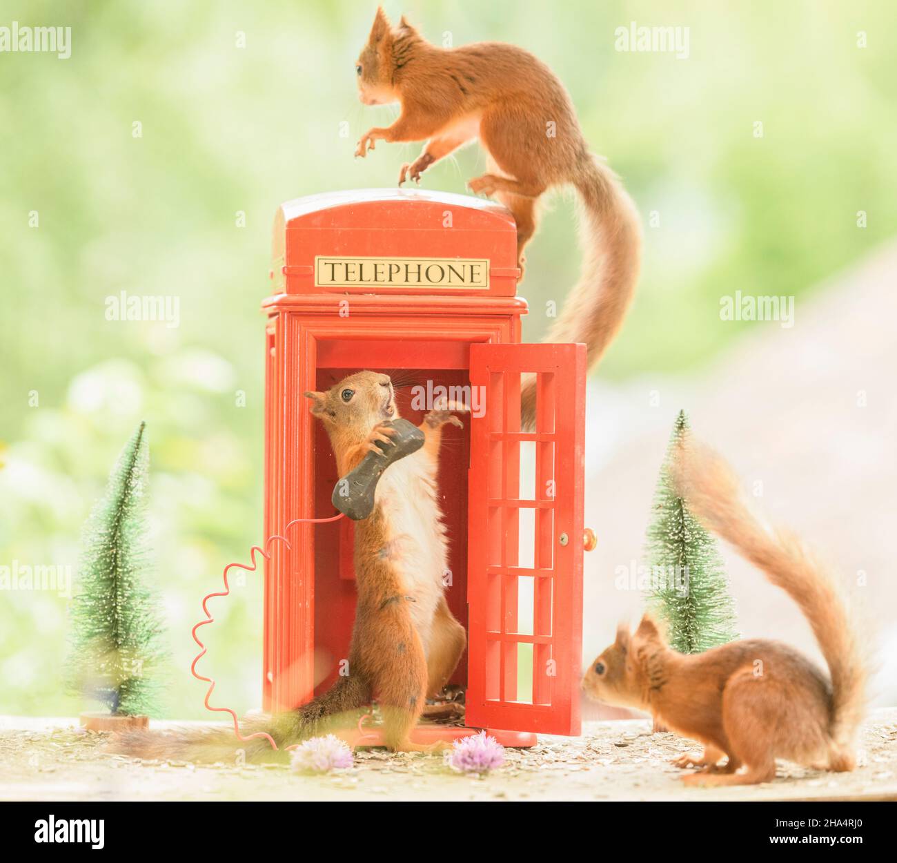 Standing phone booth hi-res stock photography and images - Alamy