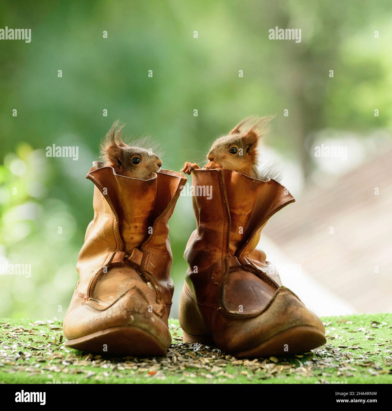 In your shoes hi-res stock photography and images - Alamy