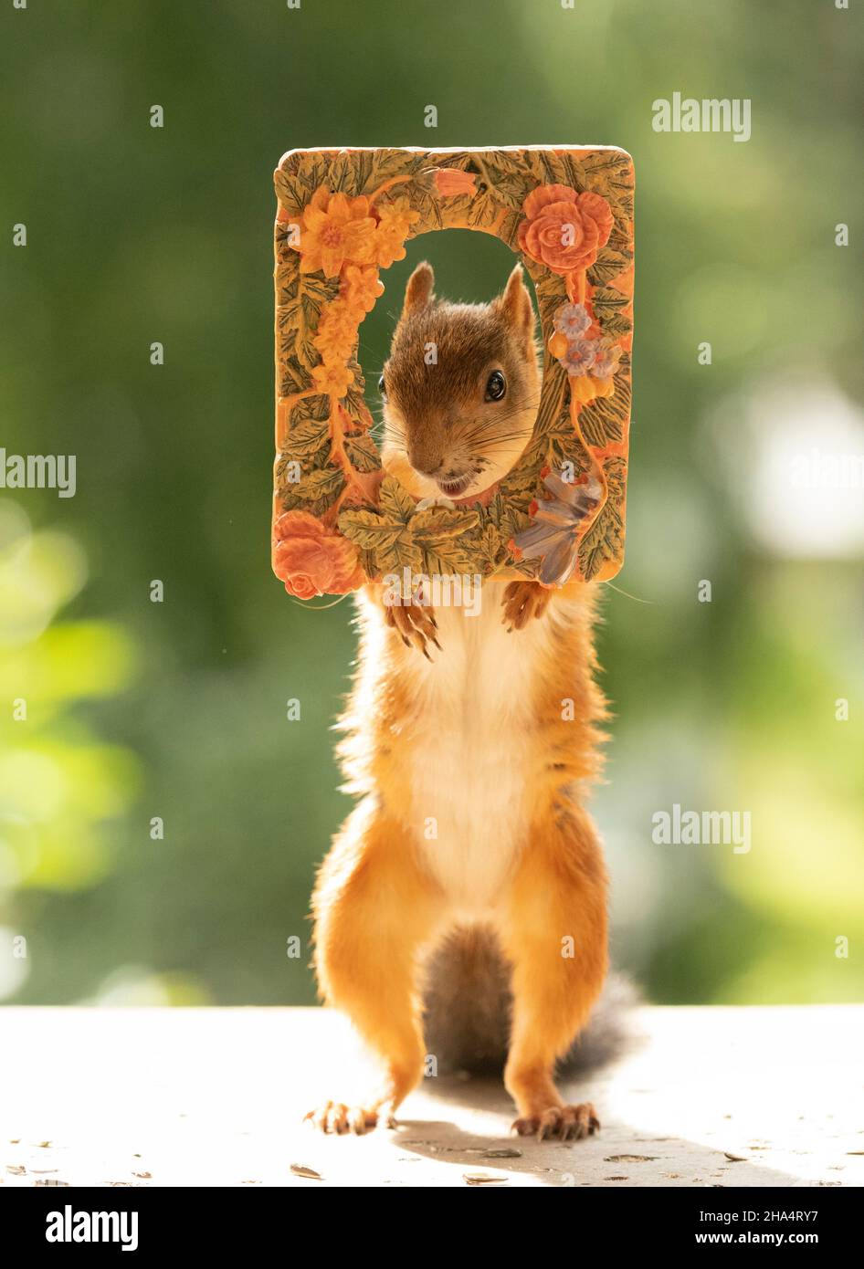 Holding photo frame hi-res stock photography and images - Alamy