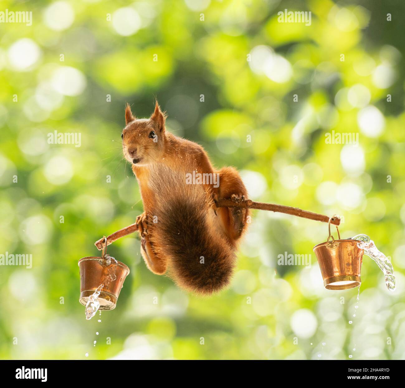 Water buckets hi-res stock photography and images - Alamy