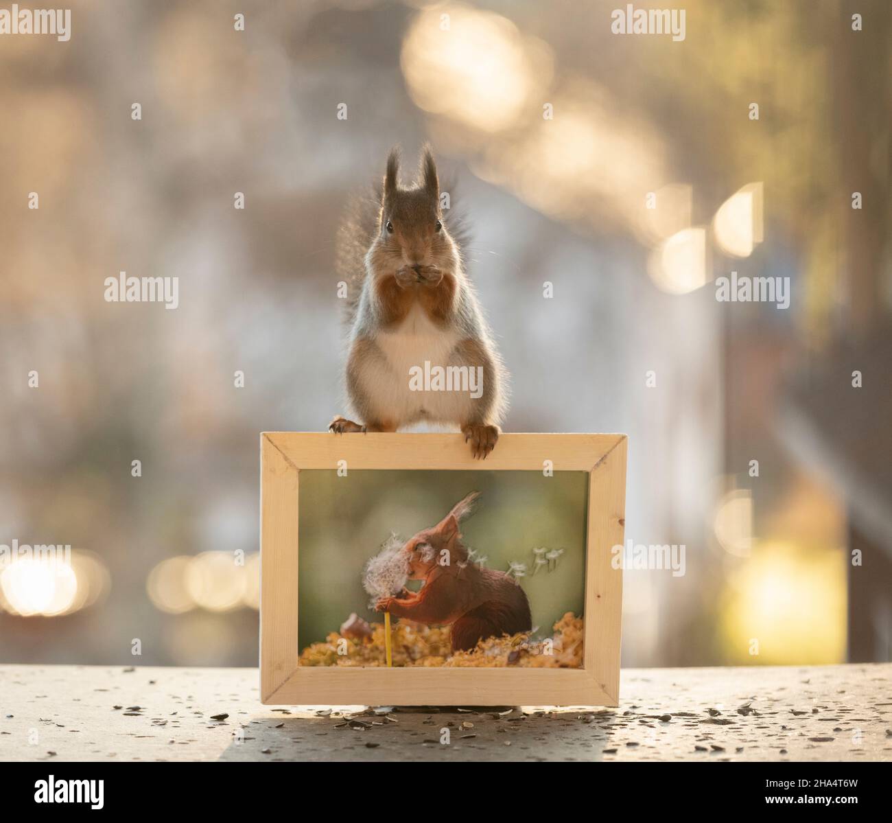 Skin on frame hi-res stock photography and images - Alamy