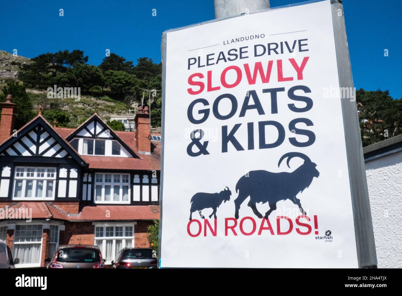 Sign,to,be,careful,aware,of,mountain,goat,goats,and,kids,on,road,famed ...