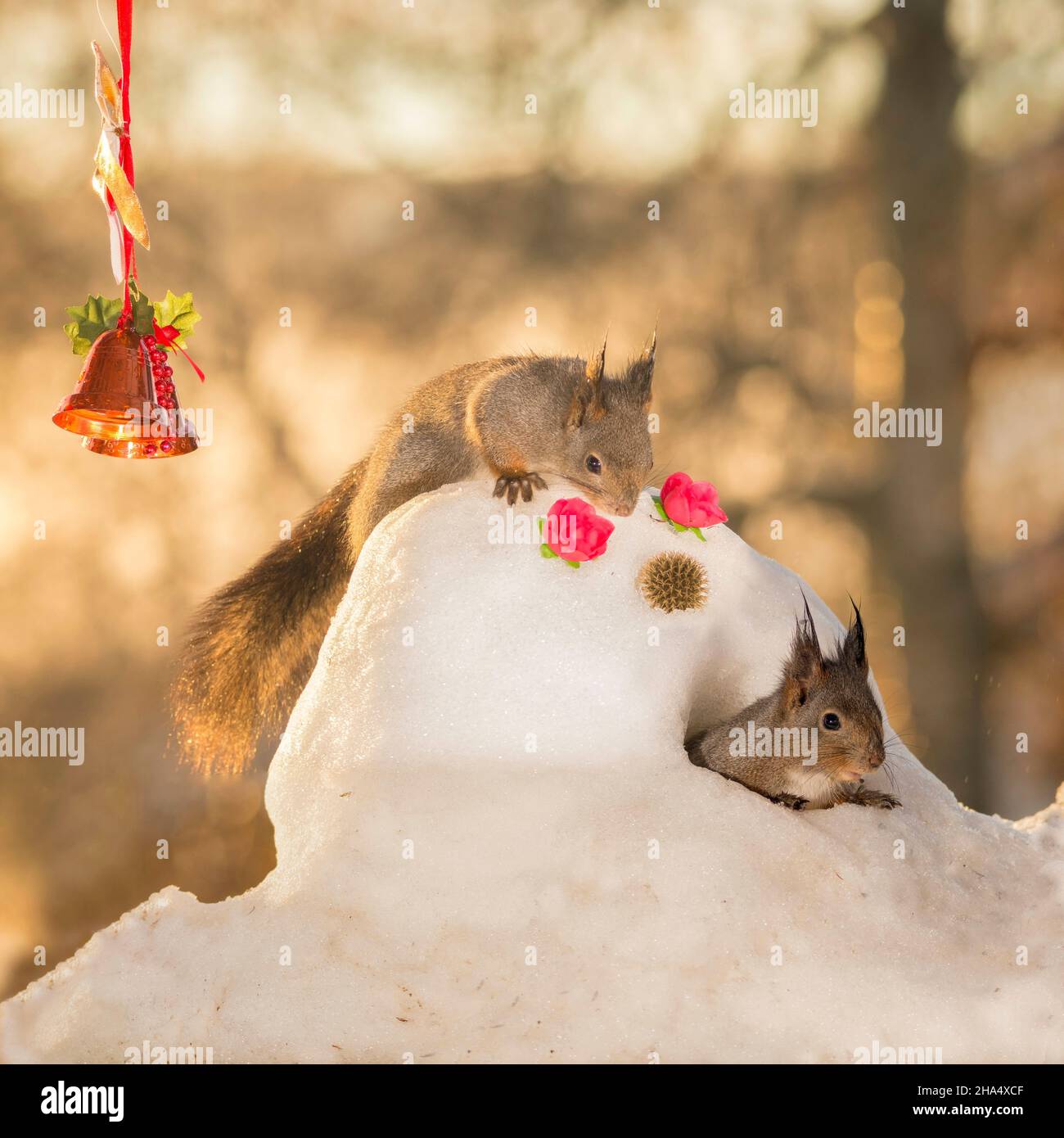 Face in the hole hi-res stock photography and images - Alamy