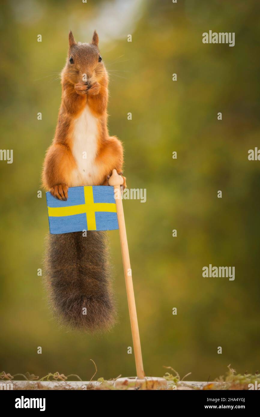 Standing on flag hi-res stock photography and images - Alamy