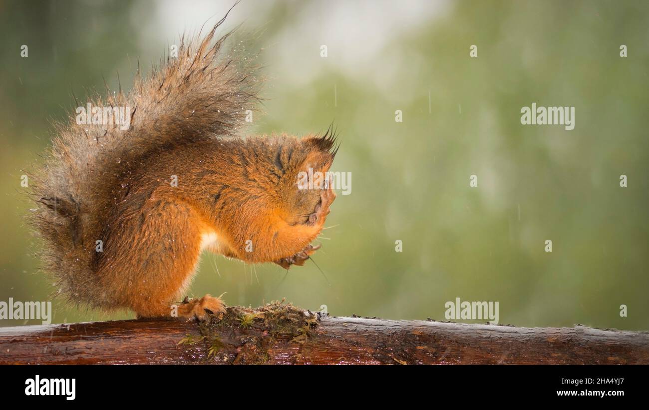 Sad in the rain hi-res stock photography and images - Alamy