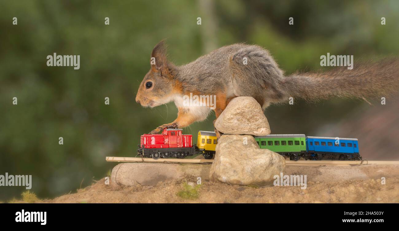 The train is standing hi-res stock photography and images - Alamy