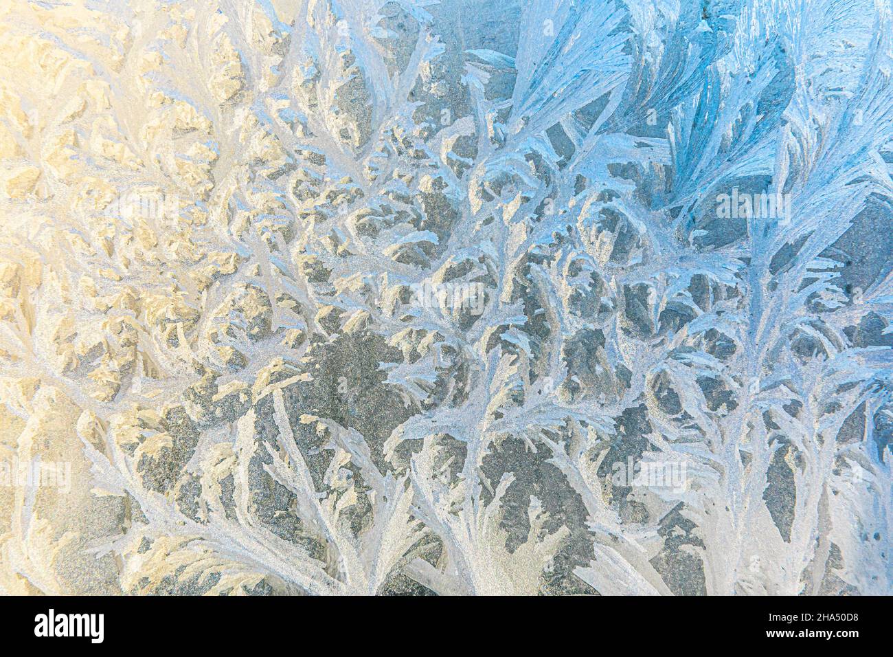 Frozen winter window with shiny ice frost pattern texture. Christmas ...