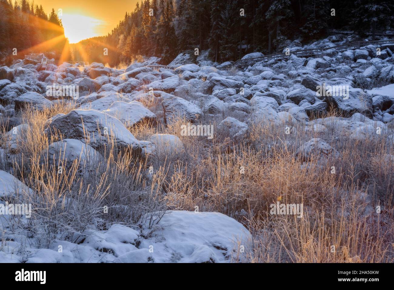 Grass with sun flares in a rock hi-res stock photography and images - Alamy