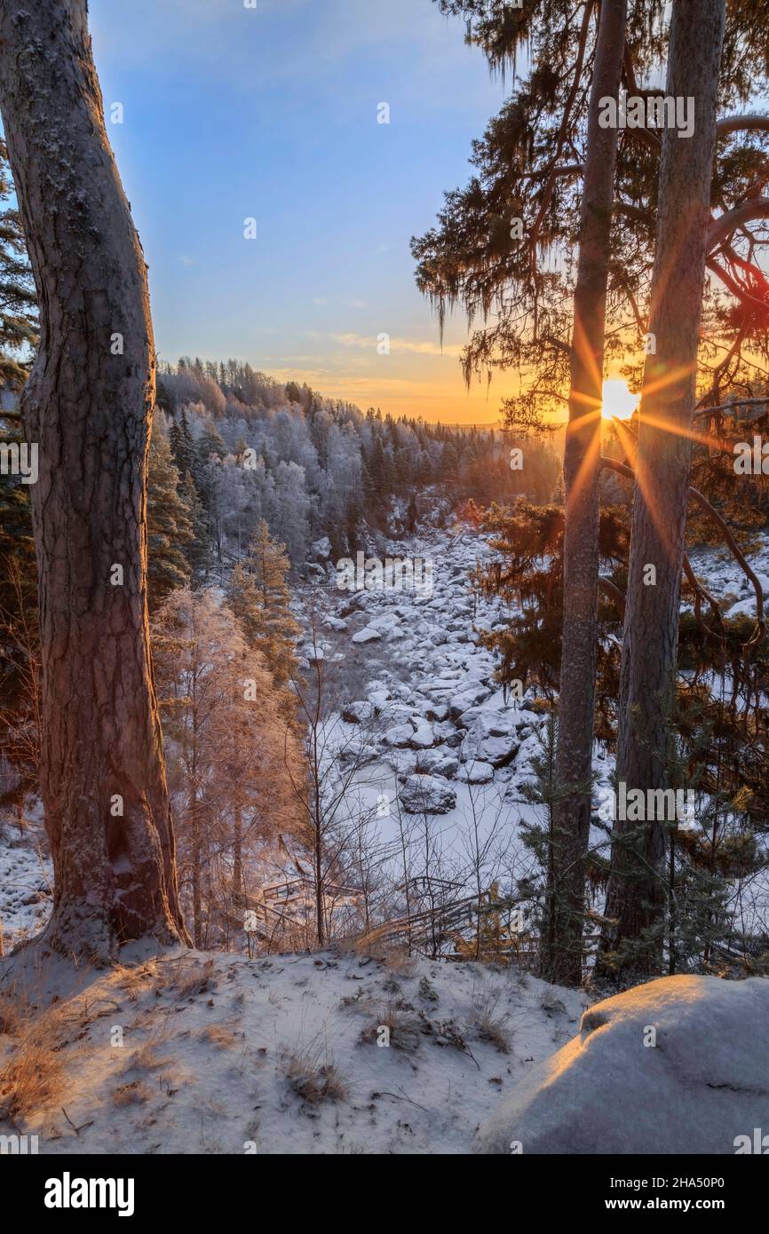 trees with sun flares in a rock,forest winter landscape Stock Photo - Alamy