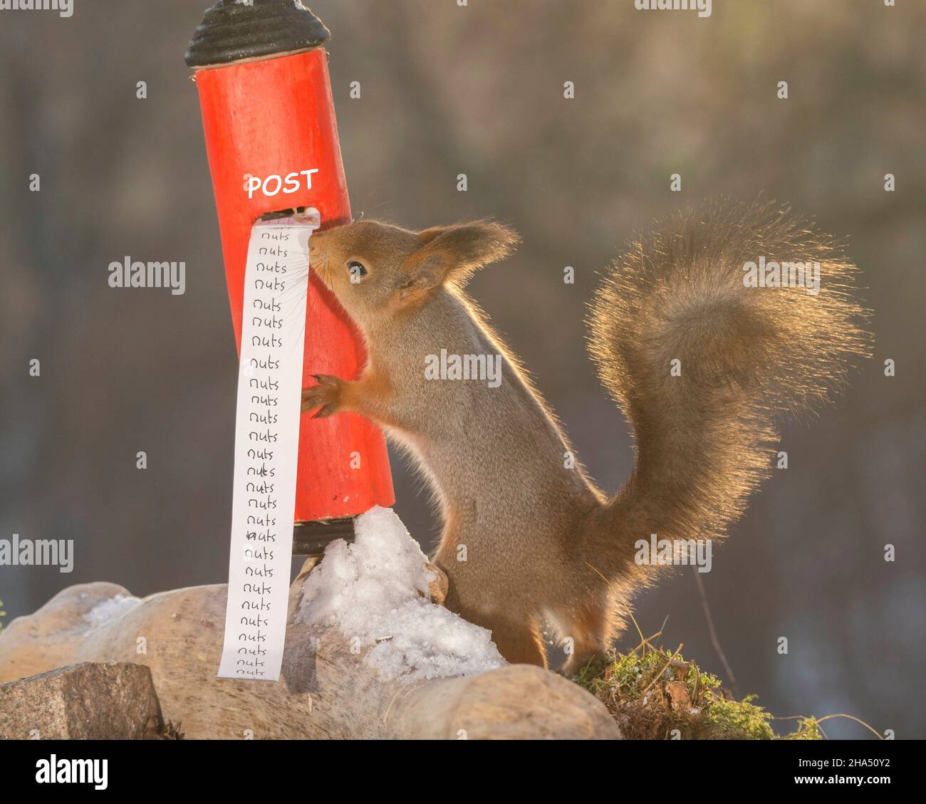 Wishing list hi-res stock photography and images - Alamy