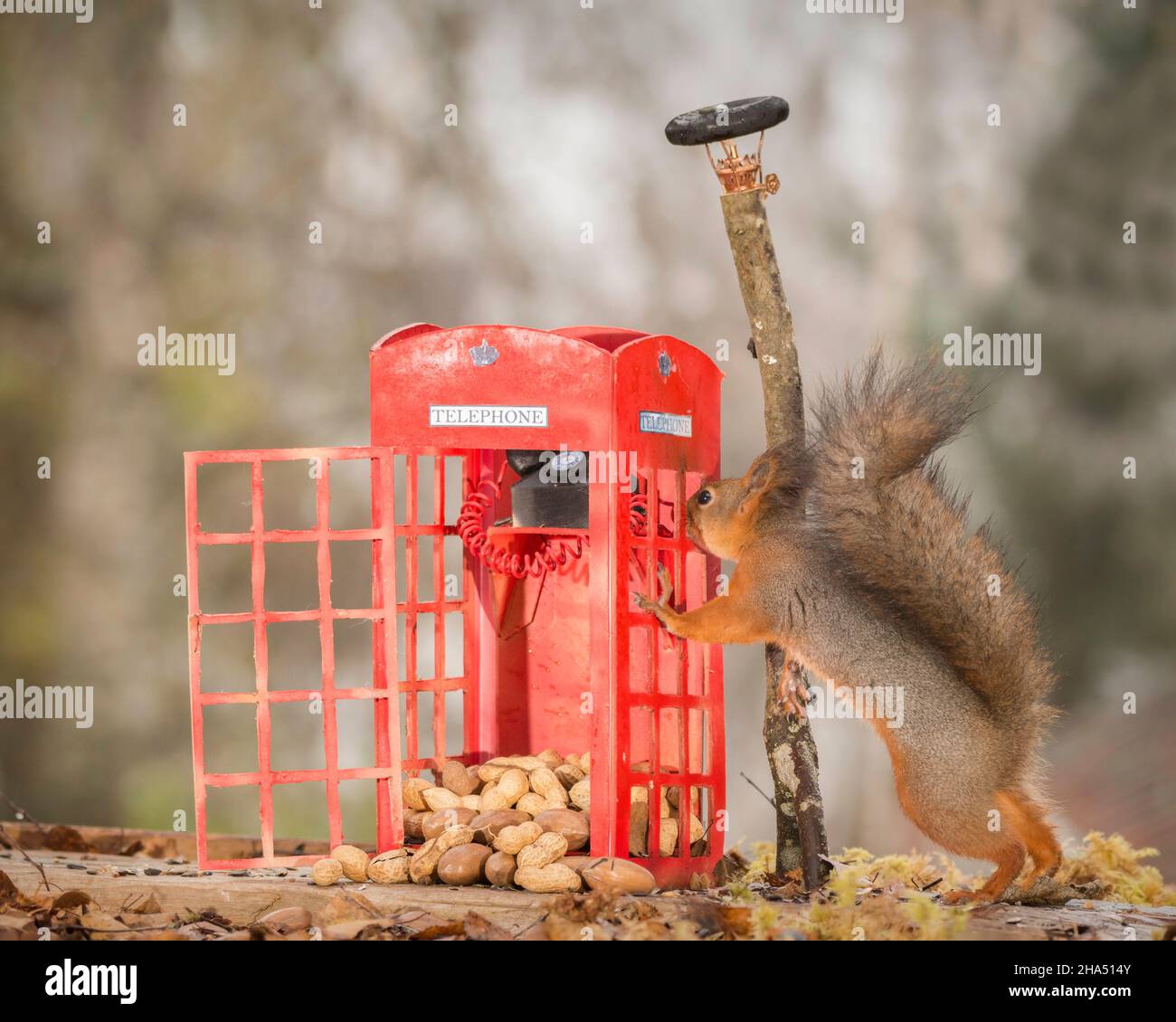 Standing in phone booth hi-res stock photography and images - Alamy