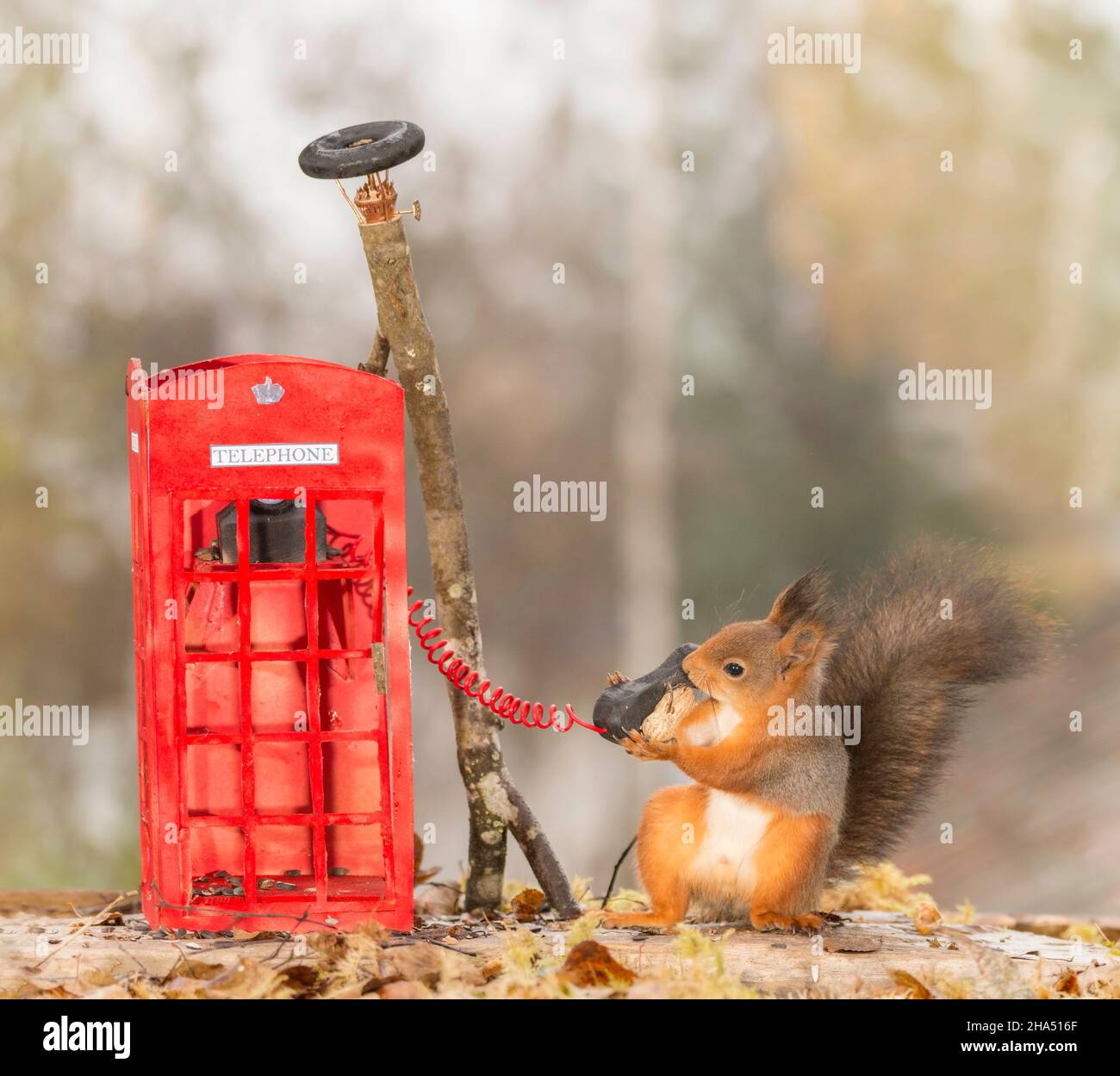 English telephone hi-res stock photography and images - Alamy