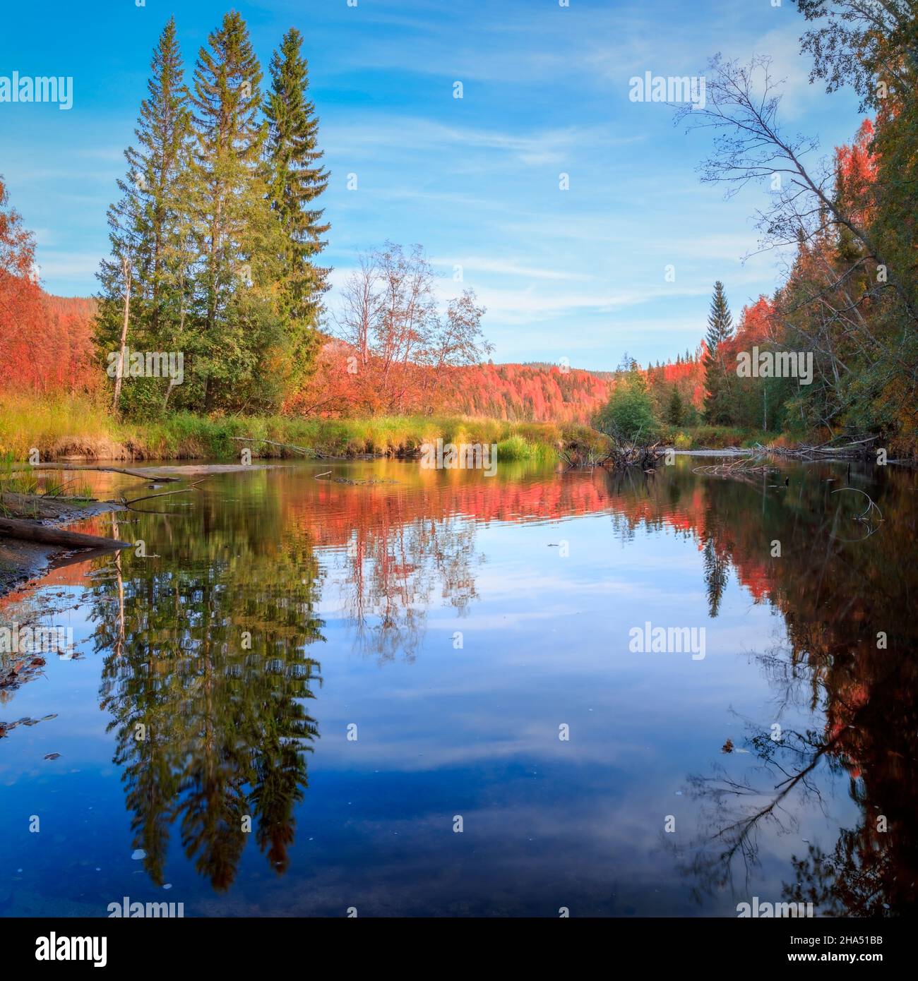 autumn,mountain,river,forest landscape with falling trees and ...
