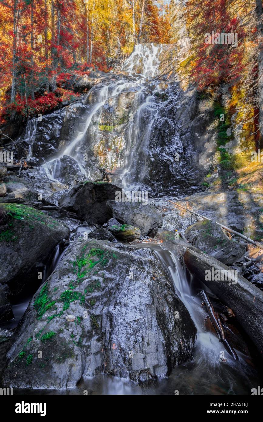 Rock forest hi-res stock photography and images - Alamy