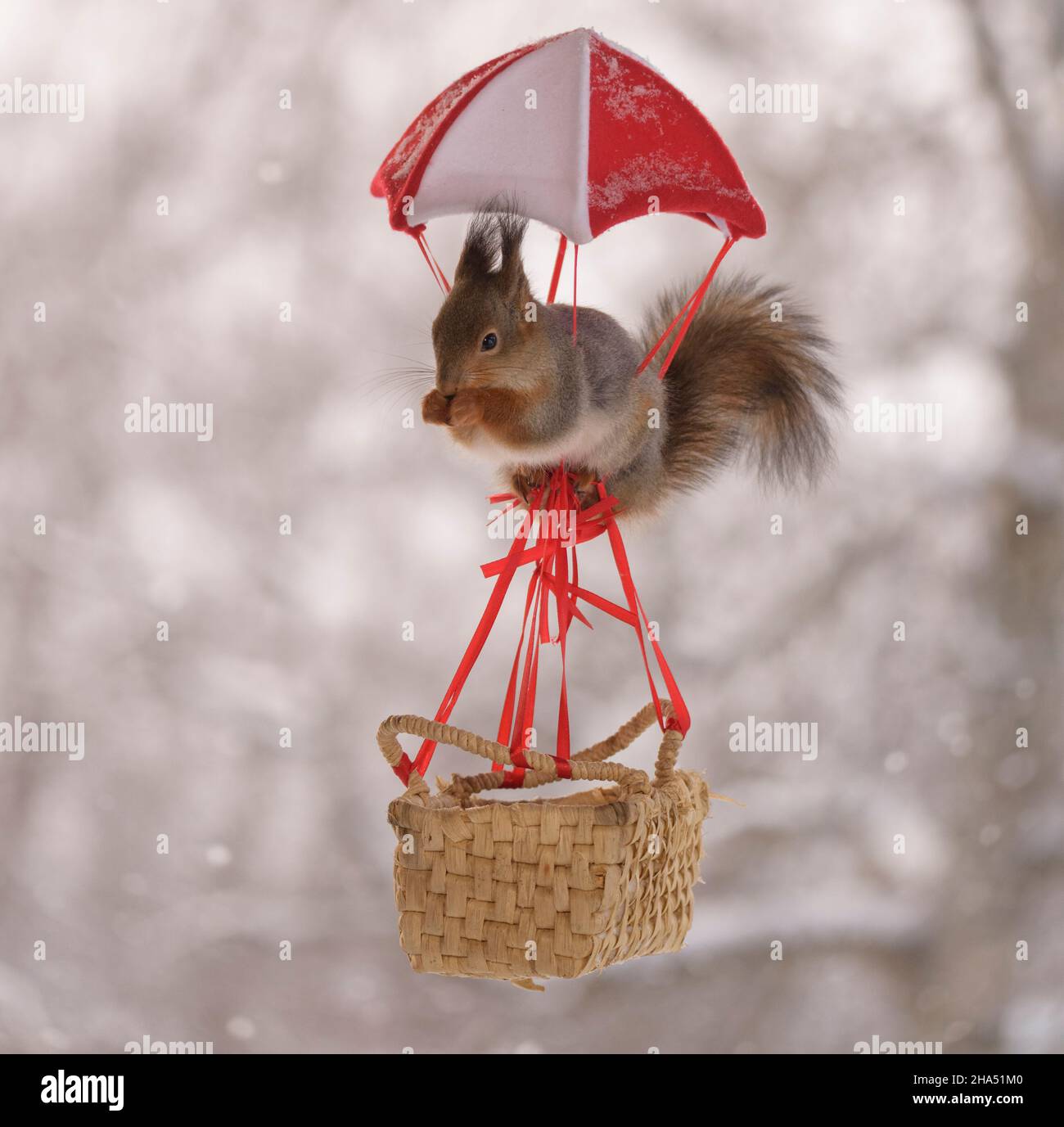 Parachute basket hi-res stock photography and images - Alamy