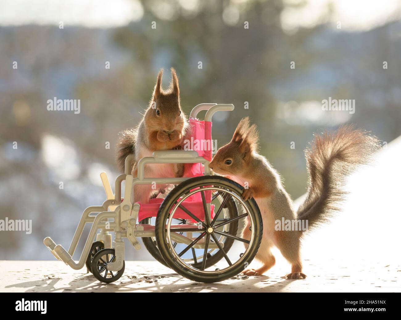 Standing wheelchair hi-res stock photography and images - Alamy