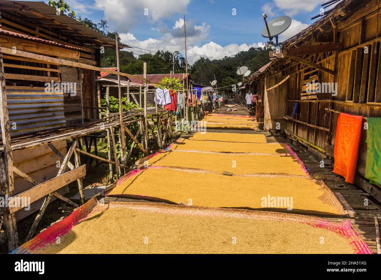 Drying grains on a veranda of a traditional longhouse near Batang ...