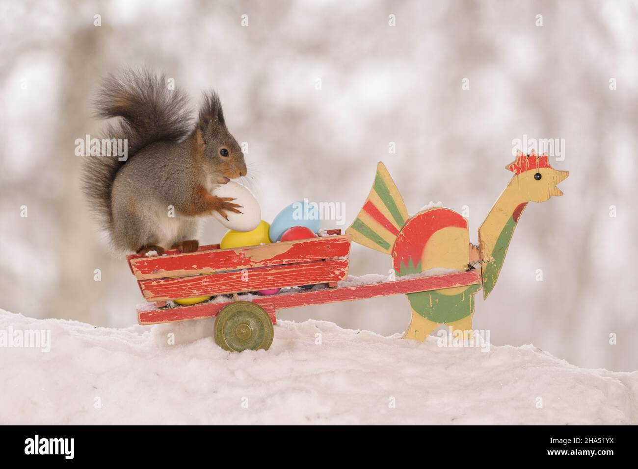 Drive in egg hi-res stock photography and images - Alamy