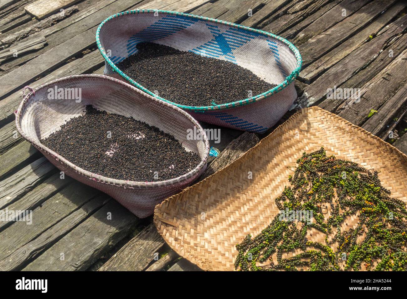 Drying black pepper on a veranda of a traditional longhouse near Batang ...