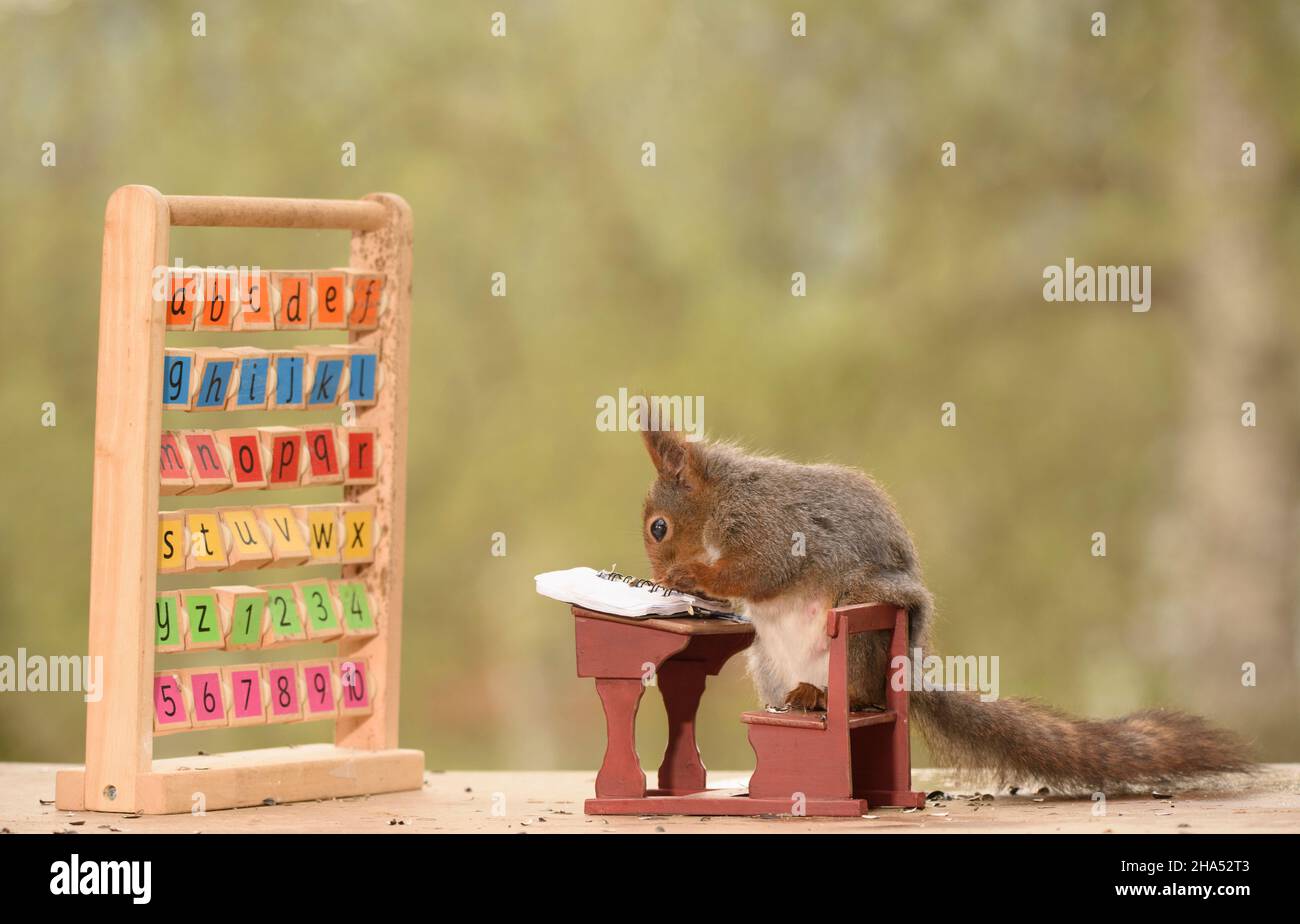Reading in class hi-res stock photography and images - Alamy