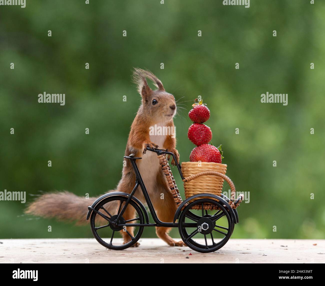 Carrier cycle hi-res stock photography and images - Alamy