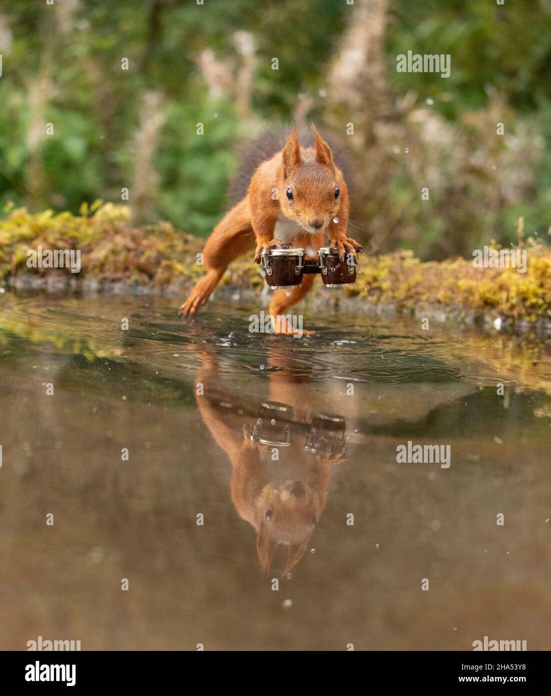 Concert jumping hi-res stock photography and images - Alamy