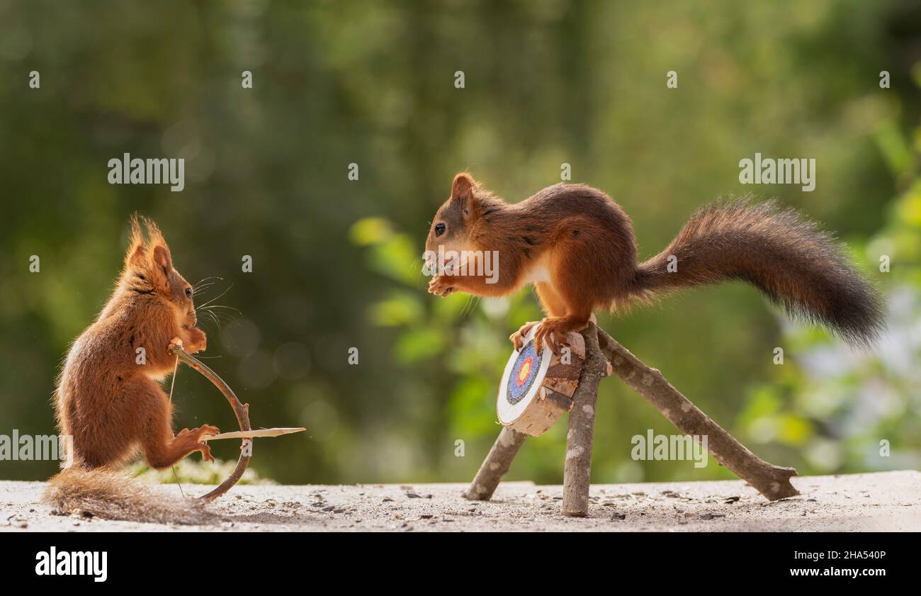 Bow_and_arrow hi-res stock photography and images - Alamy