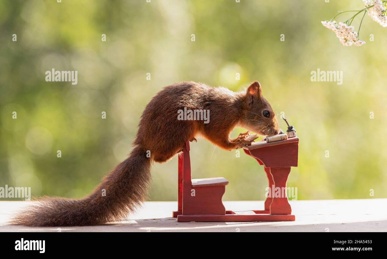 A child on the school desk hi-res stock photography and images - Alamy