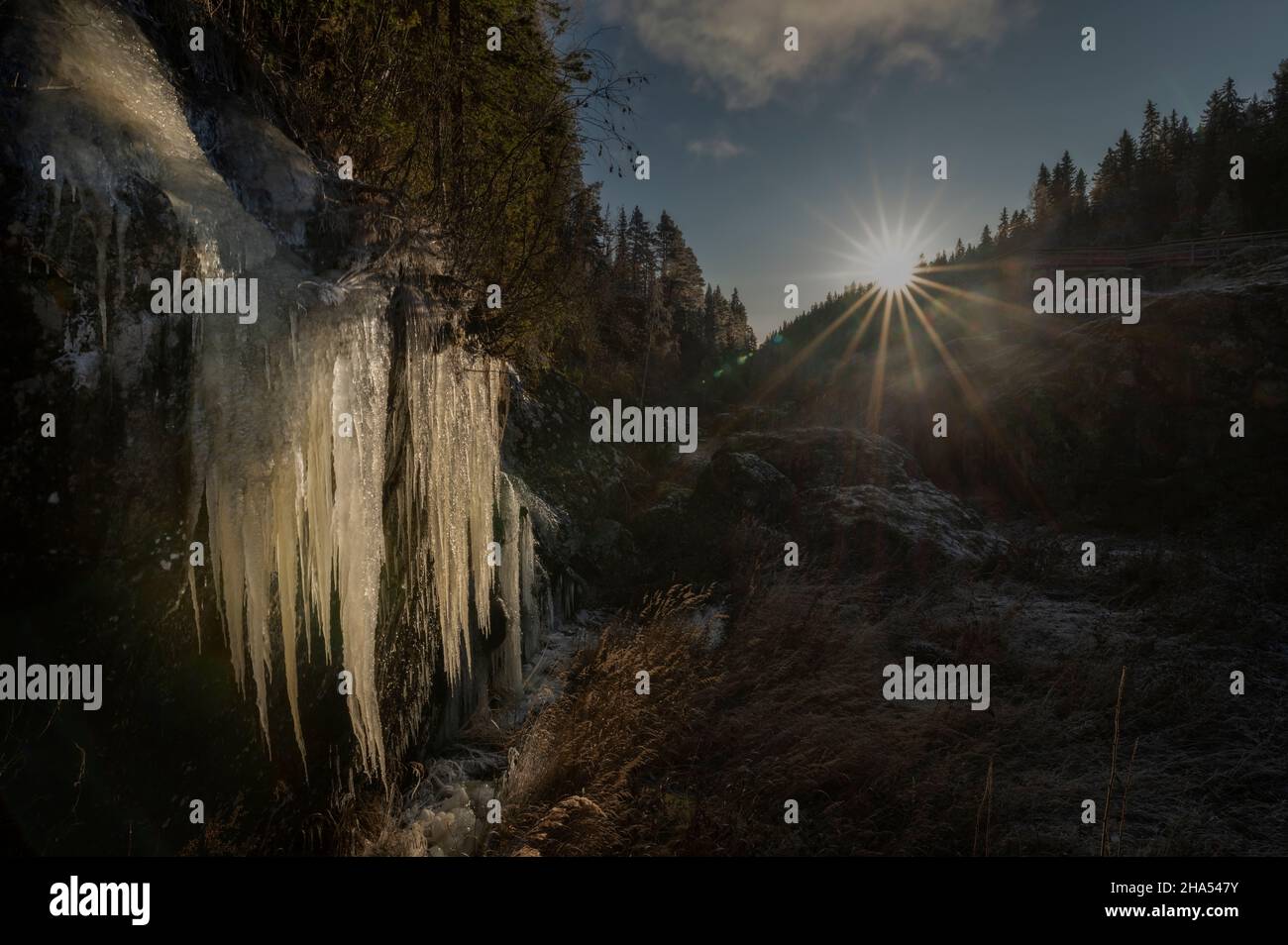 icicles in an forest mountain and winter landscape with sun beams Stock ...
