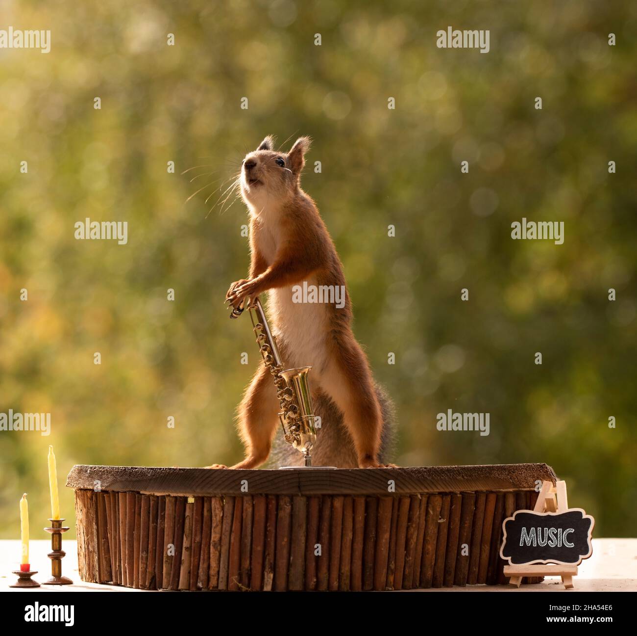 Holding saxophone hi-res stock photography and images - Alamy