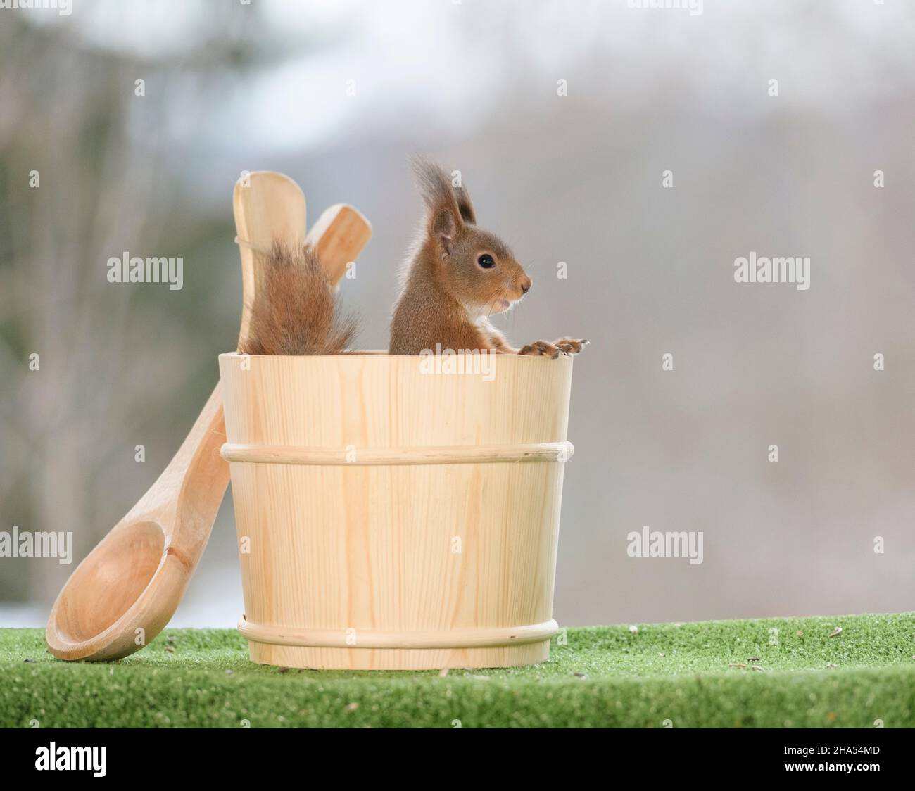 Barrel sauna hi-res stock photography and images - Alamy